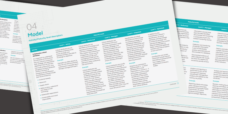 Introducing an enhanced approach to Emerging Risk Maturity Models