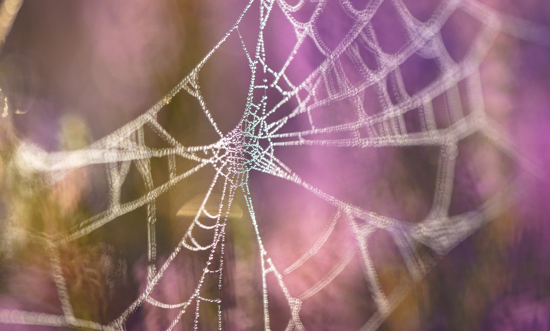 Three steps for creating an enterprise risk taxonomy